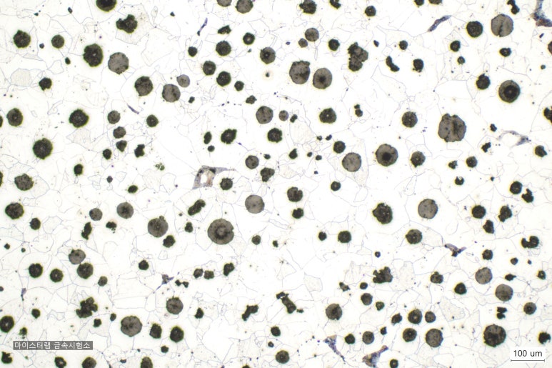 FCD400 구상흑연주철 조직사진 : 네이버 블로그