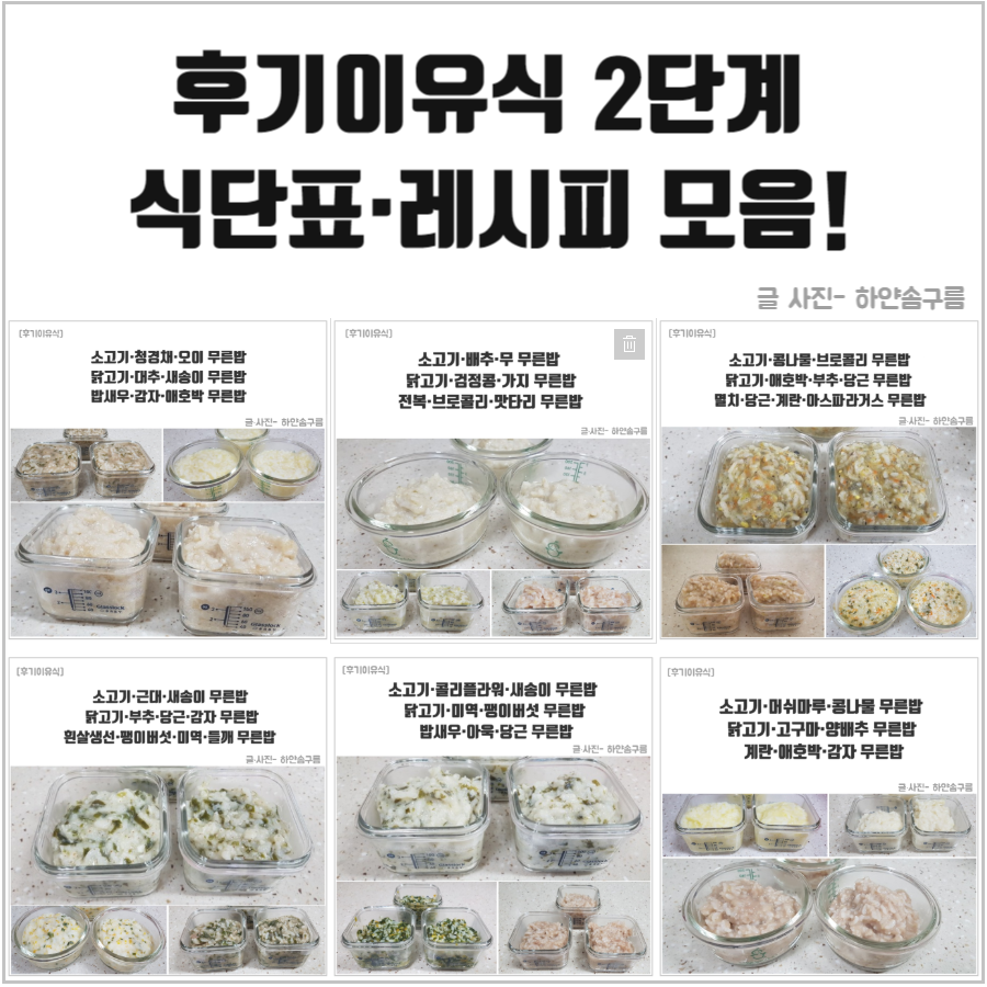 중기이유식 1단계 식단표·레시피 모음 네이버 블로그
