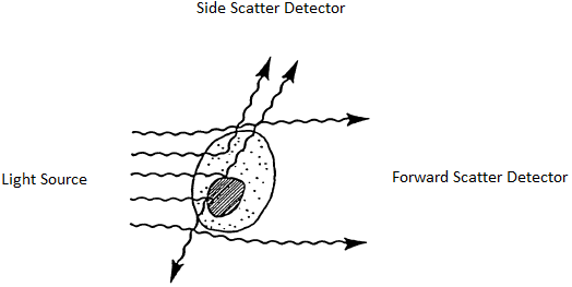 [검사원리] Flow cytometry, FACS 분석 (1) : 네이버 블로그