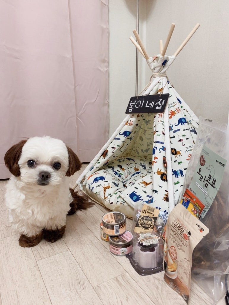 반려견 생일잔치봄이 생일파티강아지 케이크 네이버 블로그
