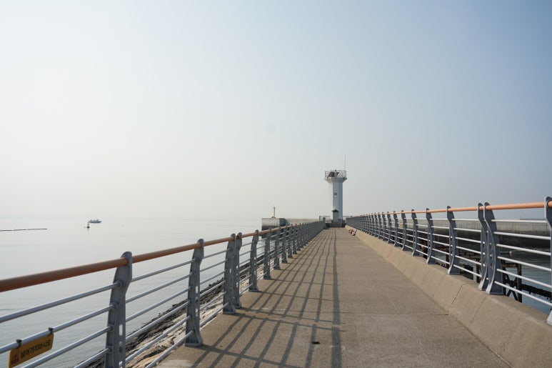 화성 궁평항생각보다 컸던 궁평항수산시장 And 국화도 배편배시간표 네이버 블로그