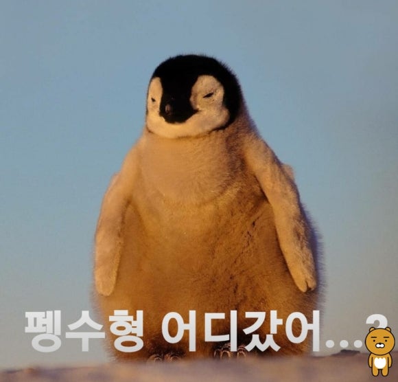 클리토스클리토리스음핵 여자 애무방법 위치를 알아볼게요 네이버 블로그