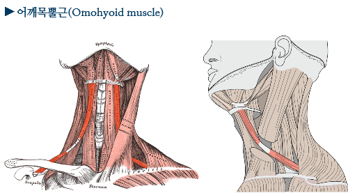 기적을 선물하는 연하치료사 최윤희 : 네이버 블로그