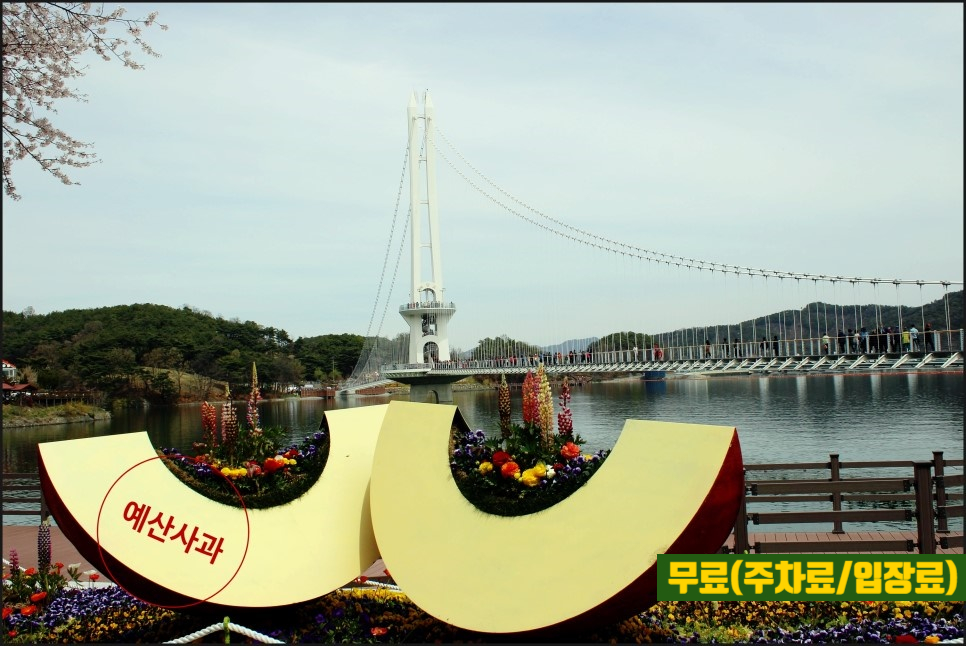 예산저수지 예당호 둘레길 걷기좋은길 호수둘레길 예당호 출렁다리 예산가볼만한곳 충남가볼만한곳 네이버 블로그