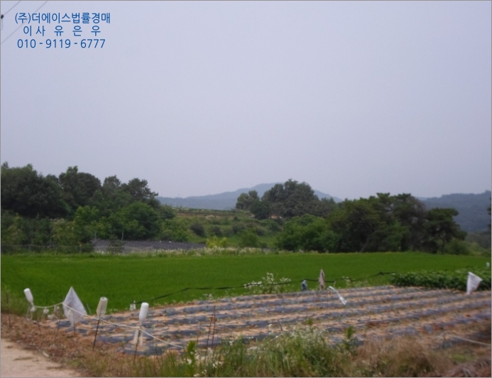 토지임야경매 낙찰비법 2019타경 10700ш경북 의성군 안평면 하령리 산26 경매 수익성분석 더에이스 네이버 블로그