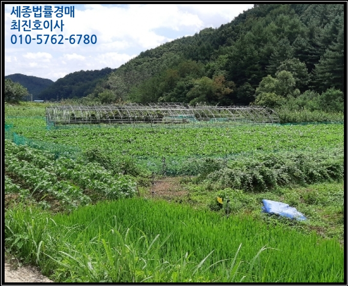 경북 고령군 덕곡면 토지답경매 물건 경매낙찰가 상담 사건번호 2019타경34036 경락자금 네이버 블로그
