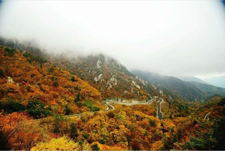 동서울 에서 설악산 한계령 버스 시간표 노선 설악산 오색터미널 단풍 첫단풍 절정 시기 네이버 블로그