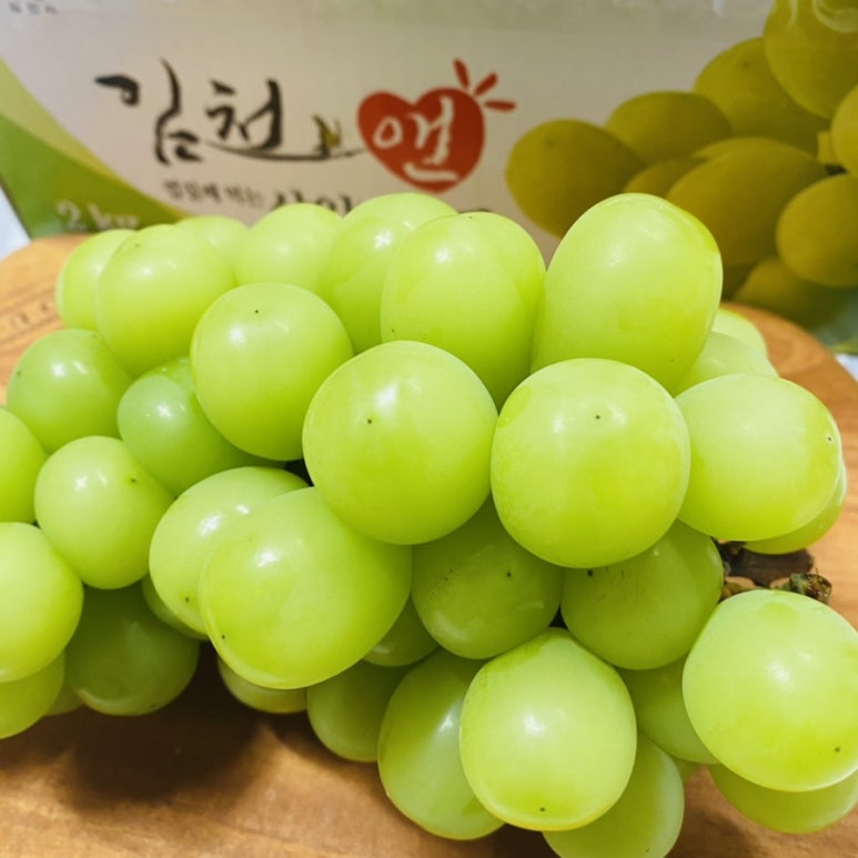 샤인머스켓 알아보기 역사 특징 씨 고르는법 세척법 칼로리 다이어트 보관법 네이버 블로그