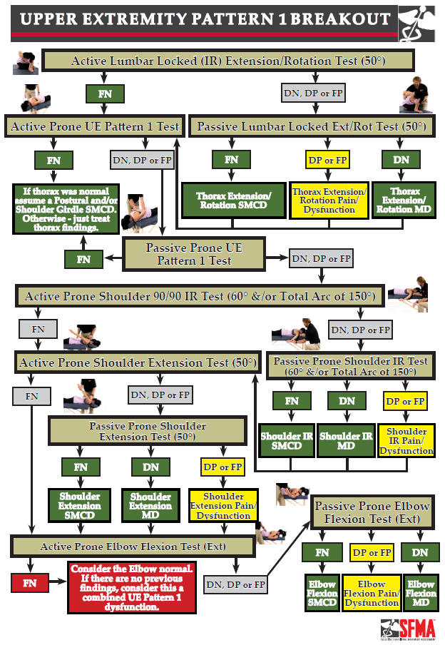 [SFMA] SFMA 상지의 Pattern 1하위 검사 - 1. Active lumbar locked test[출처] [SFMA ...