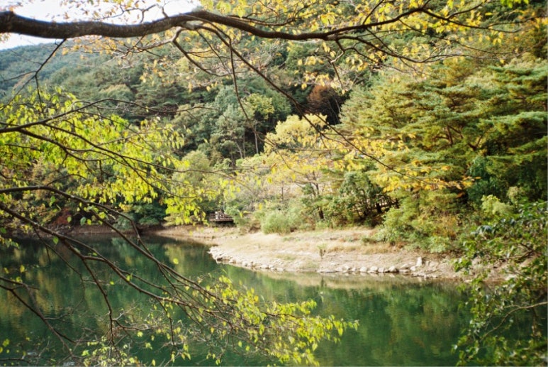 구례천은사 : 네이버 블로그