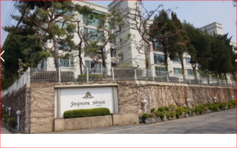 용인시 아파트 경매 용인시 기흥구 고매동 57평형 아파트 경매 용인시 고매동 시뉴어 하우스 아파트 경매 사건번호 2020