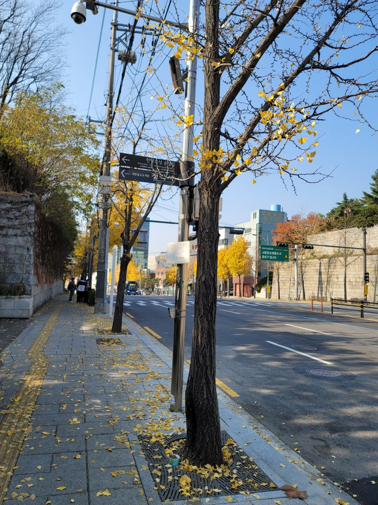 한양도성순성길서울성곽길 걷기혜화문 낙산 동대문 남산 남대문 네이버 블로그