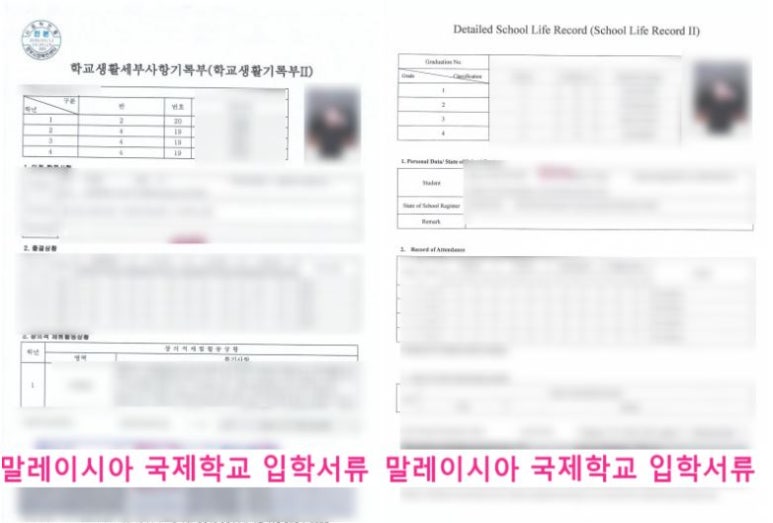 생활기록부 영문 번역 초중고 국제학교 입학 제출용 네이버 블로그