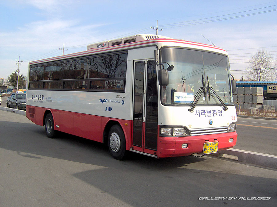 KM828 뉴 코스모스-관광시절 : 네이버 블로그