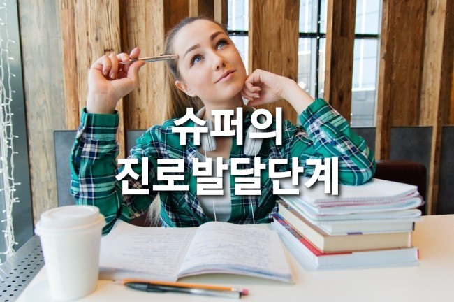 직업상담사 기출문제 슈퍼의 진로발달단계 네이버 블로그