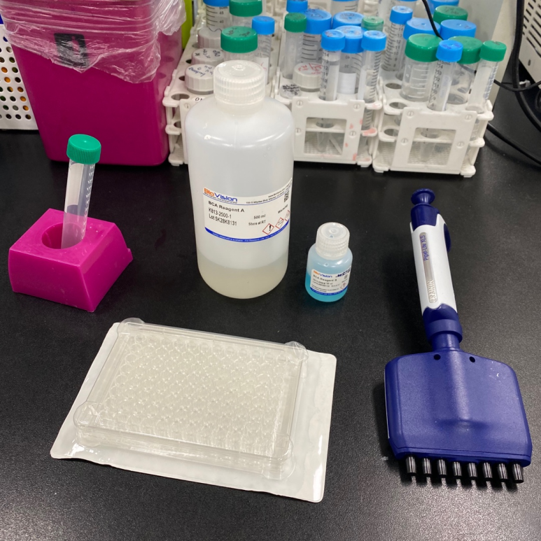 단백질 정량법 _ BCA(Bicinchoninic acid) protein assay : 네이버 블로그