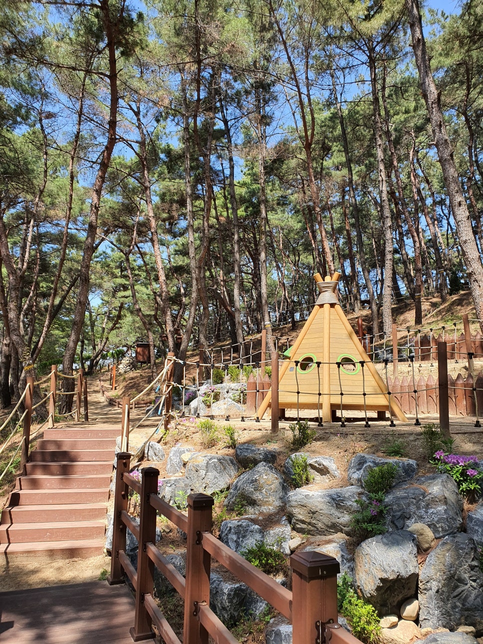 앞산 달서별빛캠프 숲속생태놀이터 대구 아이랑 가볼만한 곳 네이버 블로그