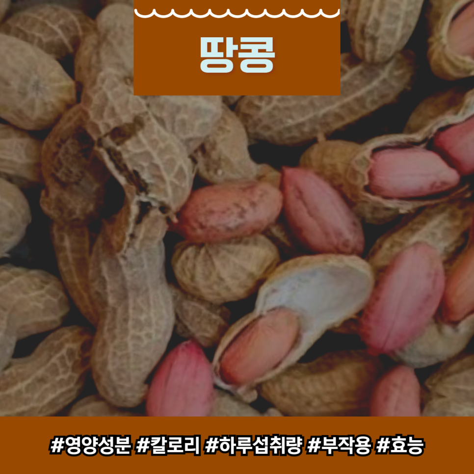 땅콩 영양성분 칼로리 하루 섭취량 부작용 효능 모두 살펴보기 네이버 블로그