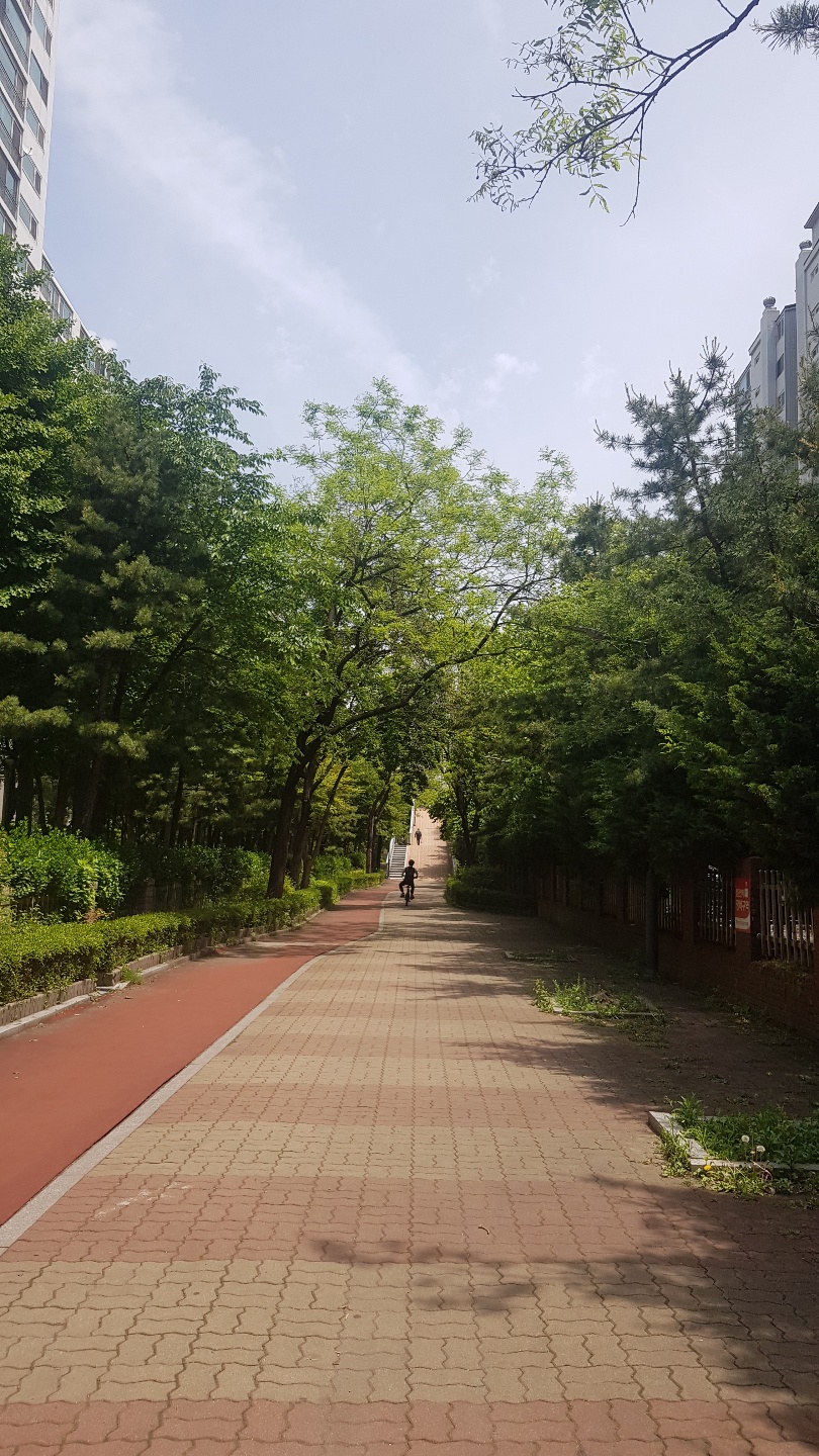 추천매물 평촌 목련마을 8단지 경남아파트 36평 귀한 입주물 소개범계부동산 네이버 블로그