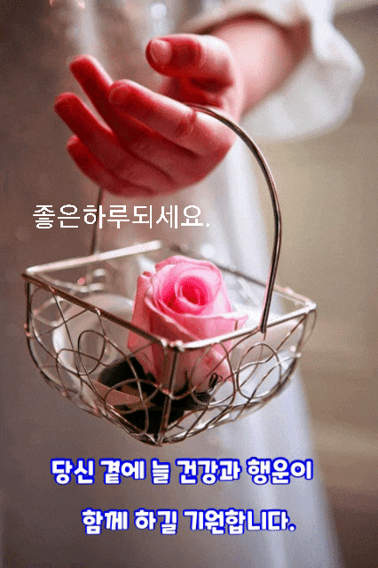 빈체로의 아침편지 5월 19일 수요일 좋은 아침입니다 행복하시고 건강하시고 기쁜 일만 있기를 바랍니다♡ 네이버 블로그