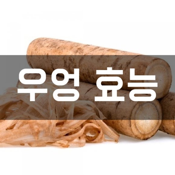 우엉 효능 및 부작용 우엉과 궁합이 좋은 음식은 네이버 블로그