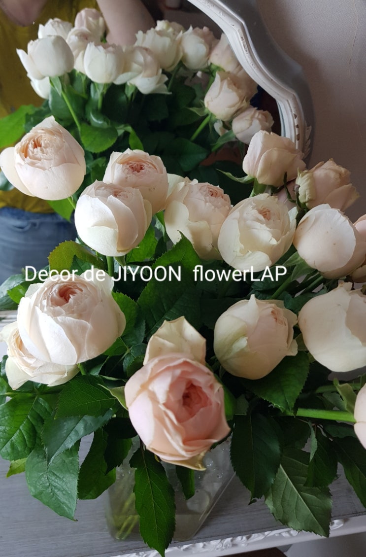 엠마우드하우스장미 엠마우드로즈 웨딩로즈 강남부케클래스 강남역플라워클래스 네이버 블로그