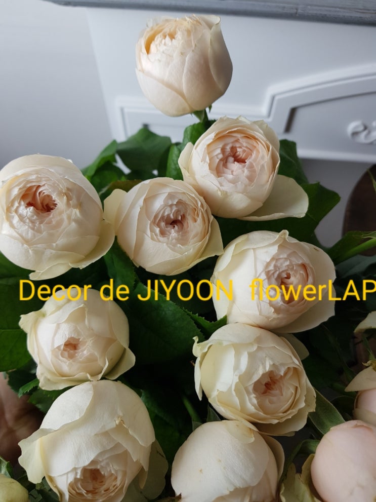 엠마우드하우스장미 엠마우드로즈 웨딩로즈 강남부케클래스 강남역플라워클래스 네이버 블로그