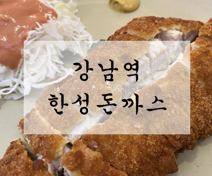 강남역5번출구 한성돈까스 배터지는 돈까스맛집 네이버 블로그