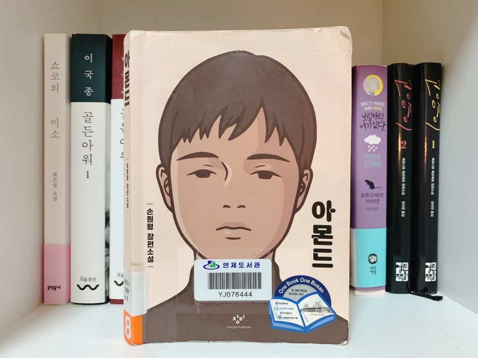 19 아몬드 손원평 줄거리 And 리뷰 네이버 블로그