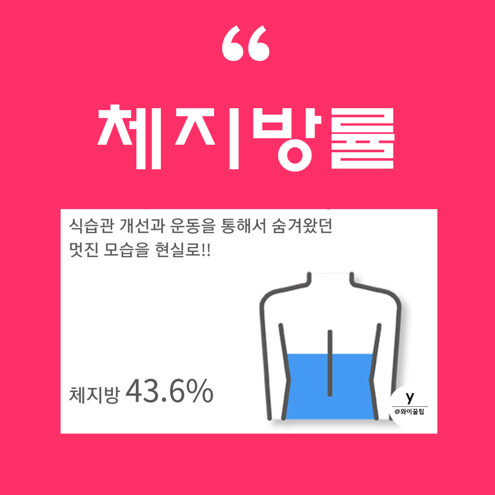 남자여자 체지방률 평균 정상 범위 체질량지수 계산기 계산 네이버 블로그