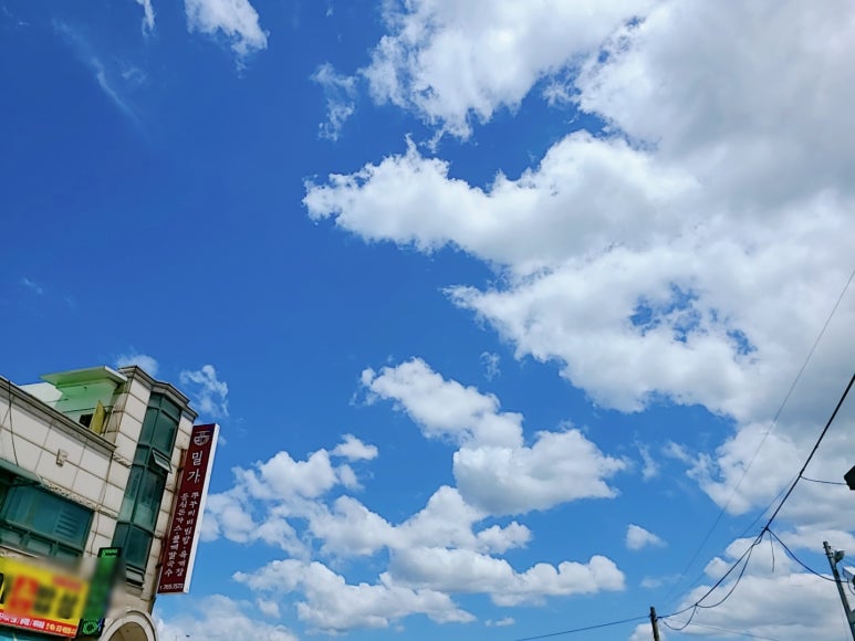 [맛집] 경기도광주오포'밀가'_쭈꾸미비빔밥+칼국수 : 네이버 블로그