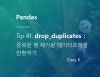 파이썬 판다스pandas 팁41 Dropduplicates로 중복된 행이 제거된 데이터프레임dataframe 반환 