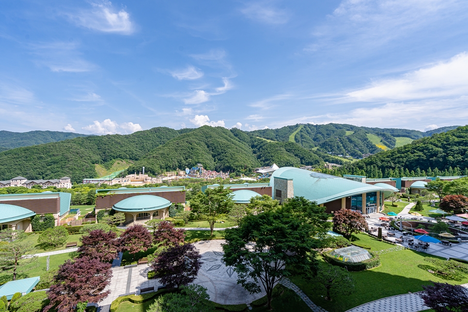 홍천 소노펠리체 비발디파크 올인클루시브 국내 강원도 호캉스 추천 네이버 블로그