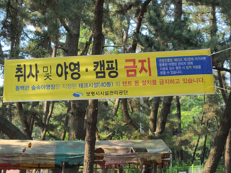 보령해수욕장 용두해수욕장 동백관 숲속야영장 을 예약을 하고 다시 방문을 하였습니다 Lifelogblog 네이버 블로그
