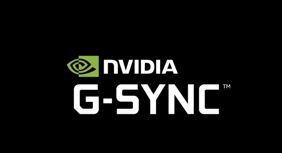 엔비디아 지싱크 호환nvidia G Sync Compatible 짭싱크에 대한 고찰feat 테어링 스터터링 수직동기화