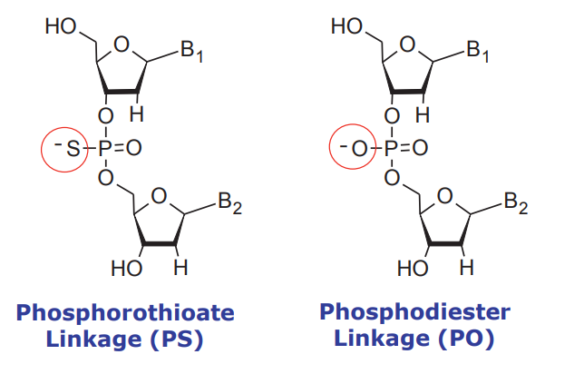BioPro IEX QF를 이용한 phosphorothioate oligonucleotide 분리 최적화 : 네이버 블로그
