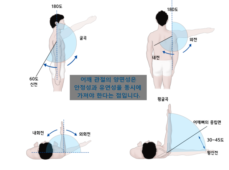 안양역한의원 어깨 통증과 회전근개 손상 석회성건염 유착성점액낭염 오십견 등 네이버 블로그
