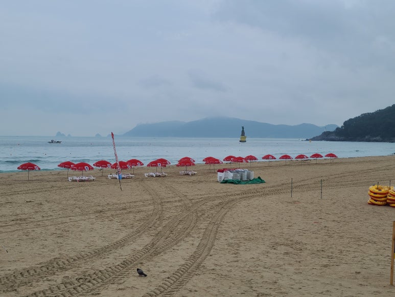 해운대해수욕장 블루라인파크 걷기 좋은 미포~청사포 그린레일웨이 아침 산책 네이버 블로그