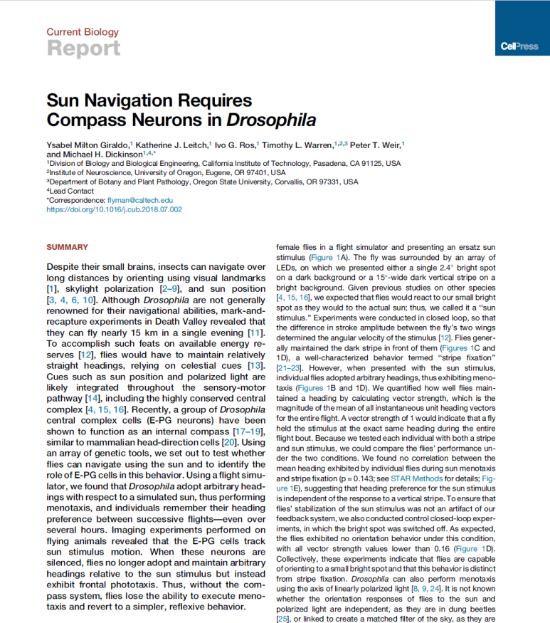 한양대 바이오메디컬공학전공 하계 학부인턴 진짜마지막: 우리가 진행한 실험 (초파리의 menotaxis) : 네이버 블로그