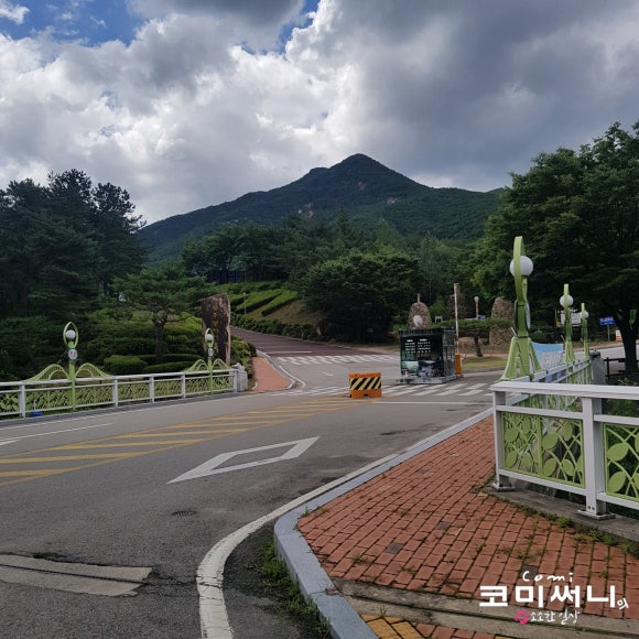 경북 상주 계곡 물놀이 휴양림 성주봉 자연휴양림 야영 데크 명당 전체 데크 정보 네이버 블로그