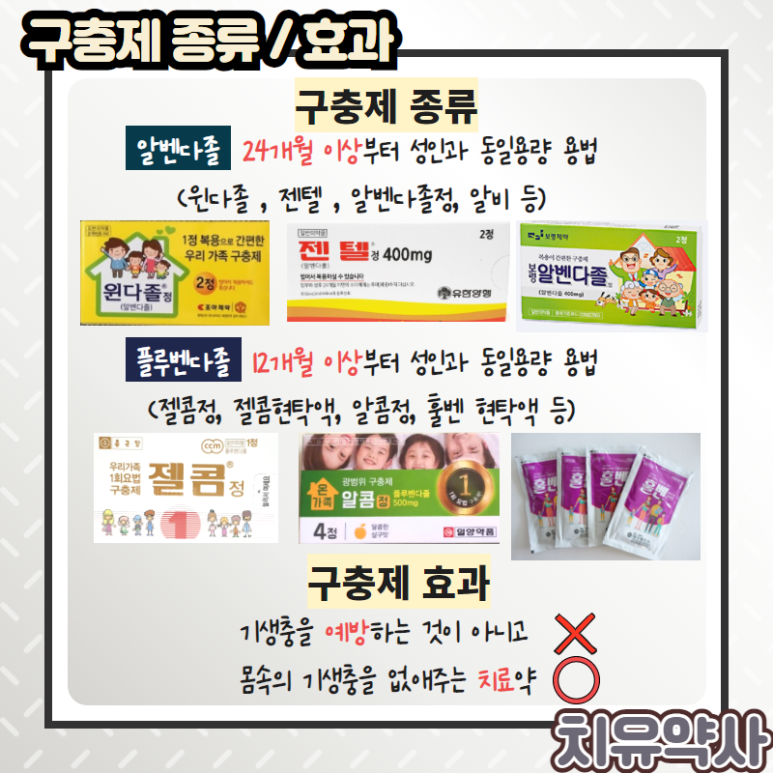 구충제 복용법 복용시기 가격 효과 부작용까지 약사가 한번에 정리해드립니다 네이버 블로그