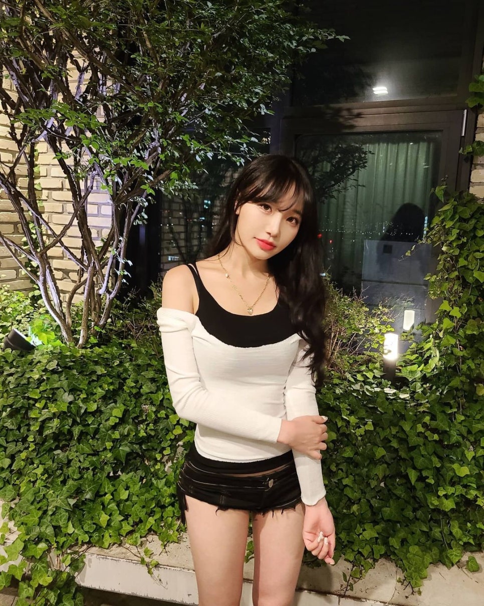 수련수련 정지 레전드 겨드랑이 성형 본명 맥심 실물 사고 트위치 스트리머 글래머 여캠 나이 키 프로필 비키니 모노키니 몸매