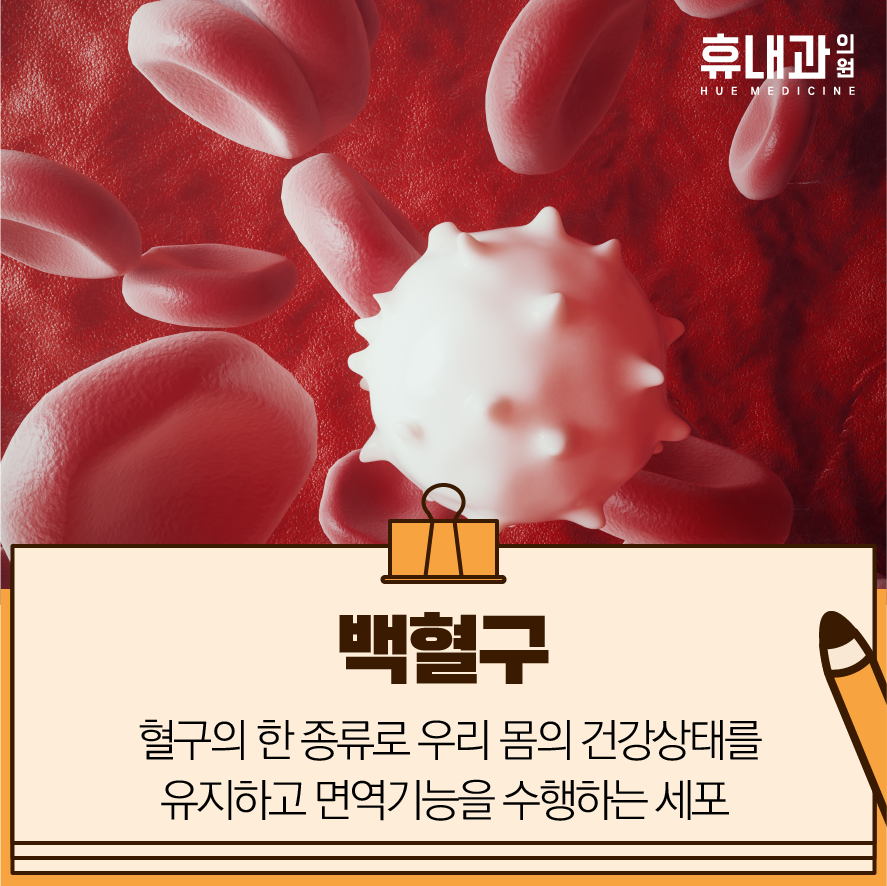 백혈구 수치 낮으면 백혈구감소증 피검사로 가능 네이버 블로그