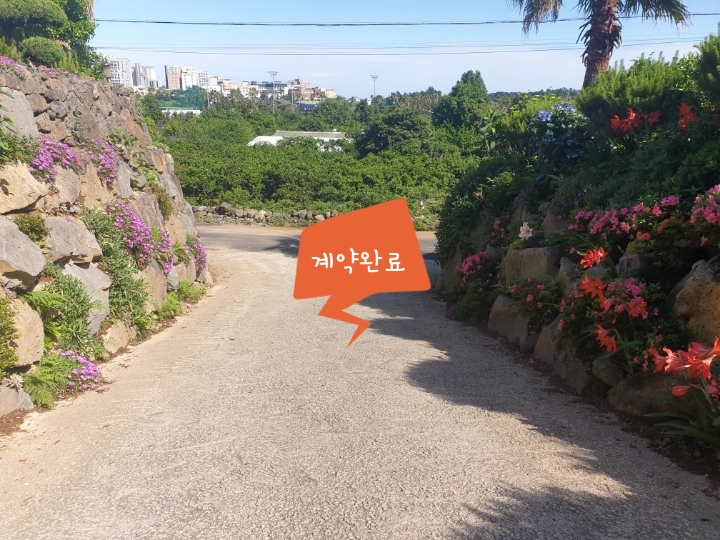 서귀포투룸 서홍동 하논습지입구 정원이 아름다운집 투룸 년세임대 서귀포두꺼비부동산 계약완료 네이버 블로그