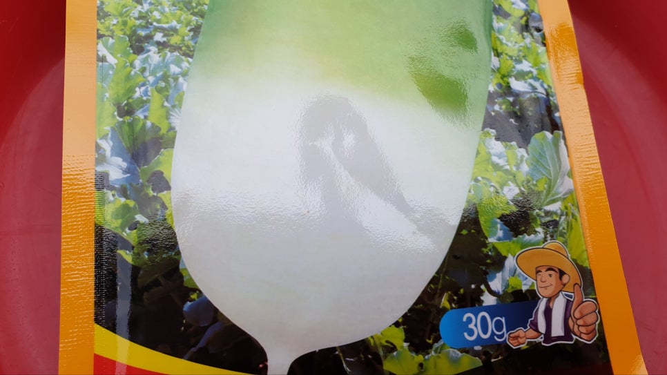 김장무심는시기 가을무우파종시기 네이버 블로그