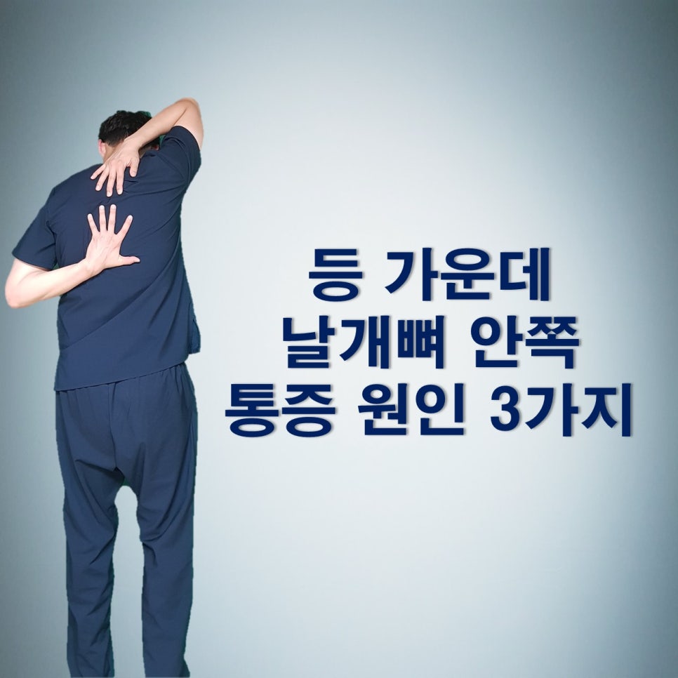 등 날개뼈 가운데 통증 원인 3가지 정형외과 전문의가 쉽게 알려드립니다 네이버 블로그