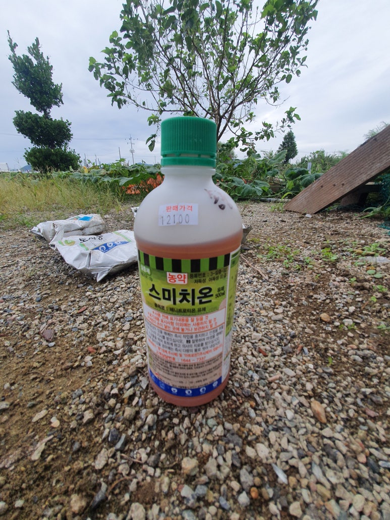 송충이 퇴치 스미치온 하나면 완전박멸 농약살충제 사용법 네이버 블로그