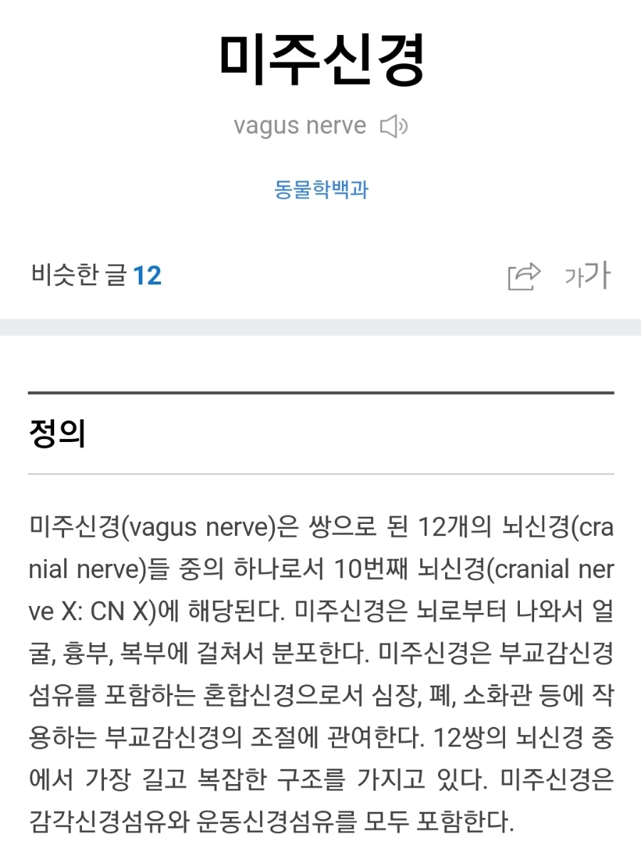 미주신경 기능 위치 구조 관련 질병 검사 네이버 블로그