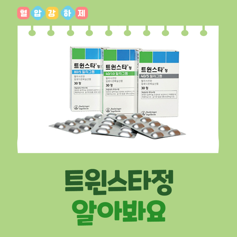 트윈스타정 효능효과 복용법 먹는법 주의사항 부작용 알아봐요 네이버 블로그