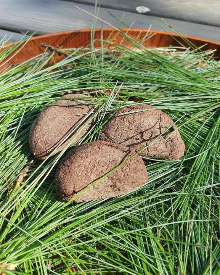 서울숲 씨드밤 만들기 네이버 블로그